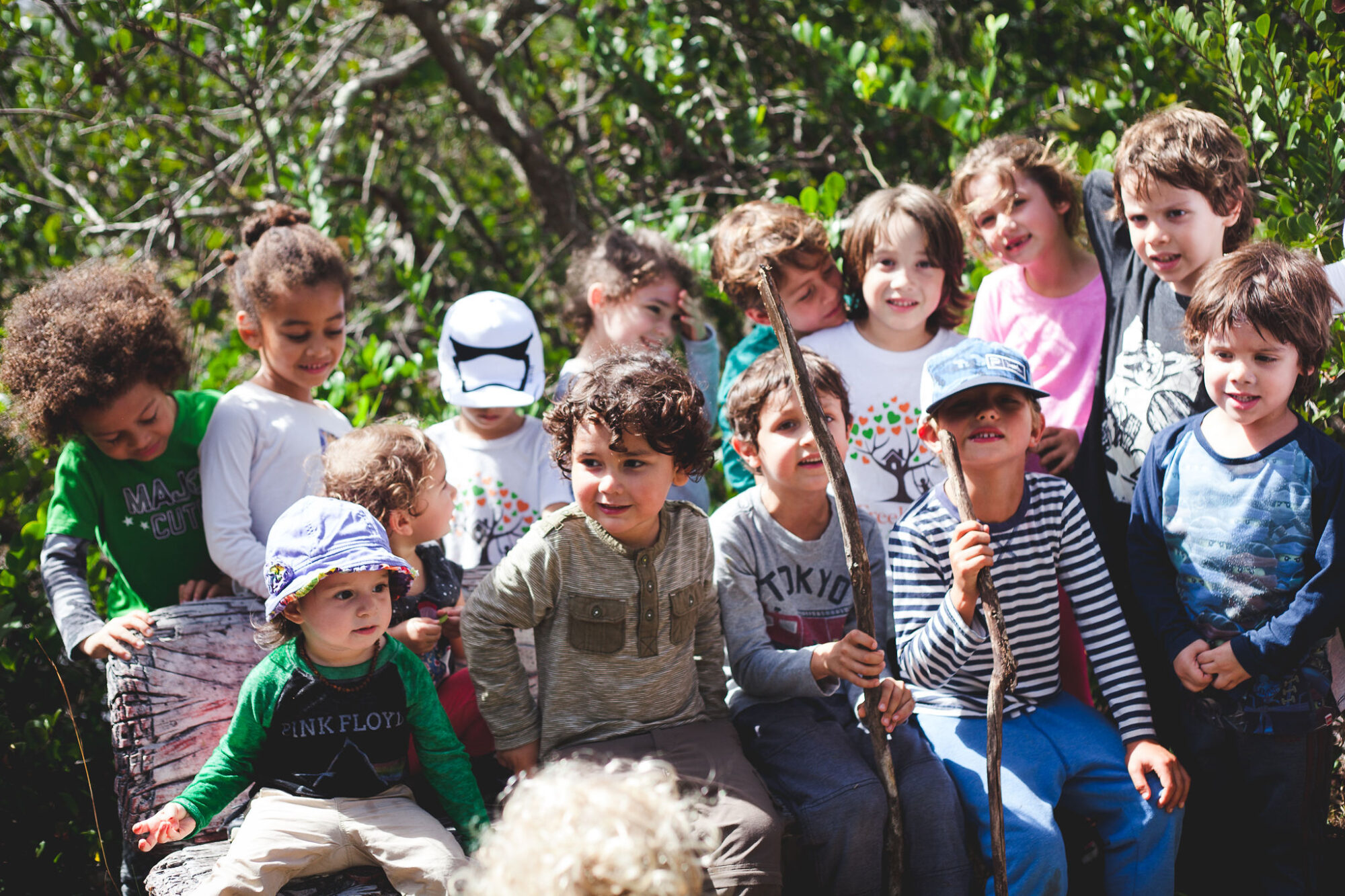 Take Root – Forest Learning Community: Education in the Forest and by ...
